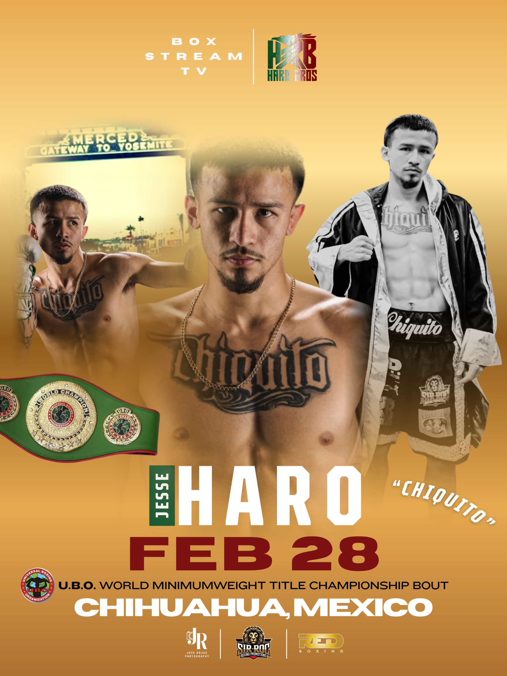 BoxStreamTV | Live Boxing Streaming & Pay-Per-View Events